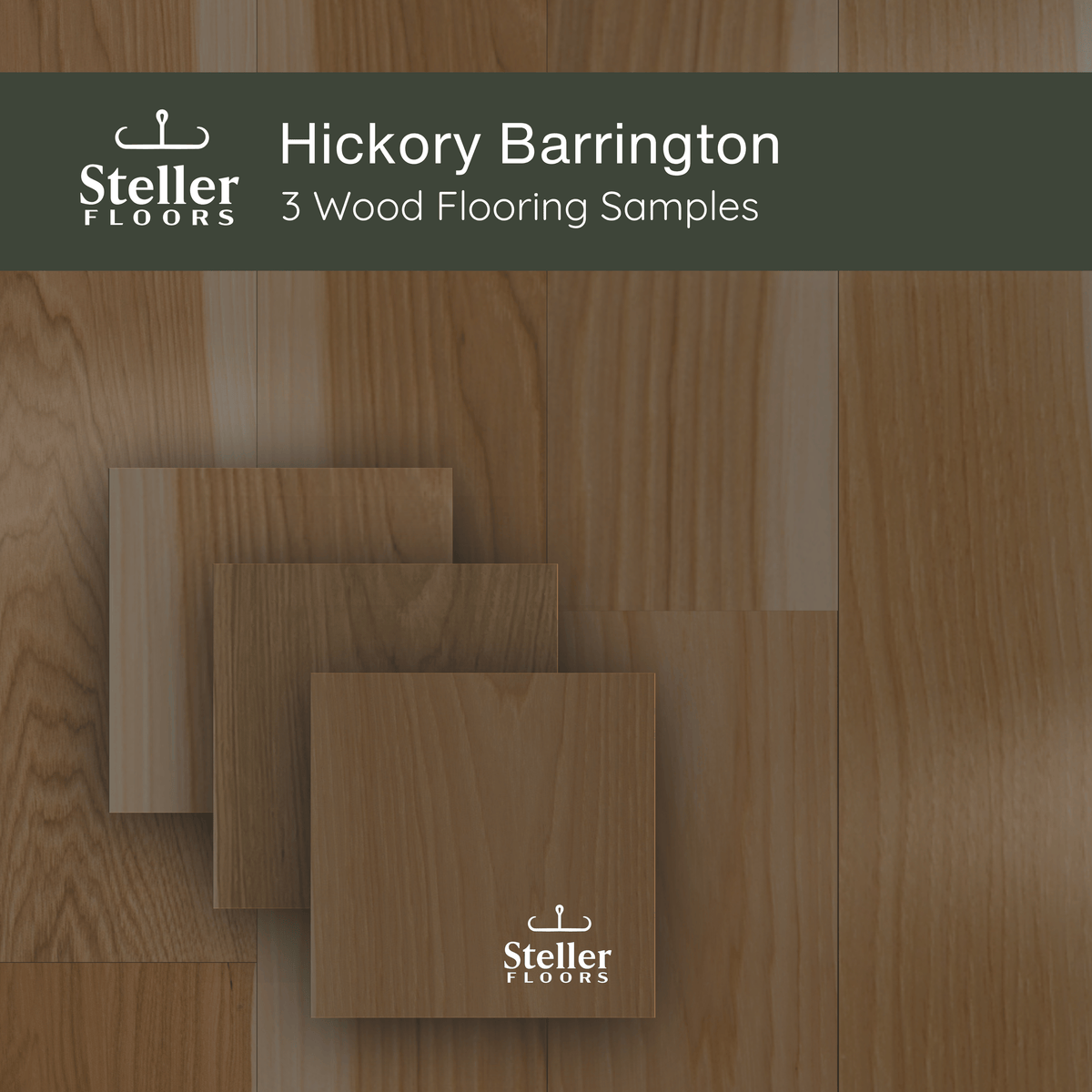 All Steller Sample 3-Packs | Explore Sample Packs and Save Big ...